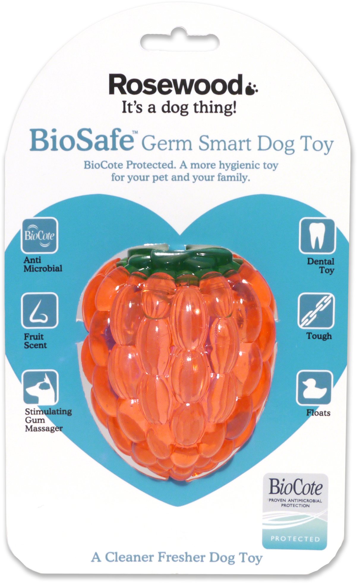 Rosewood Pet Products BIOSAFE Raspberry Toy - Willowbrook Nursery and ...