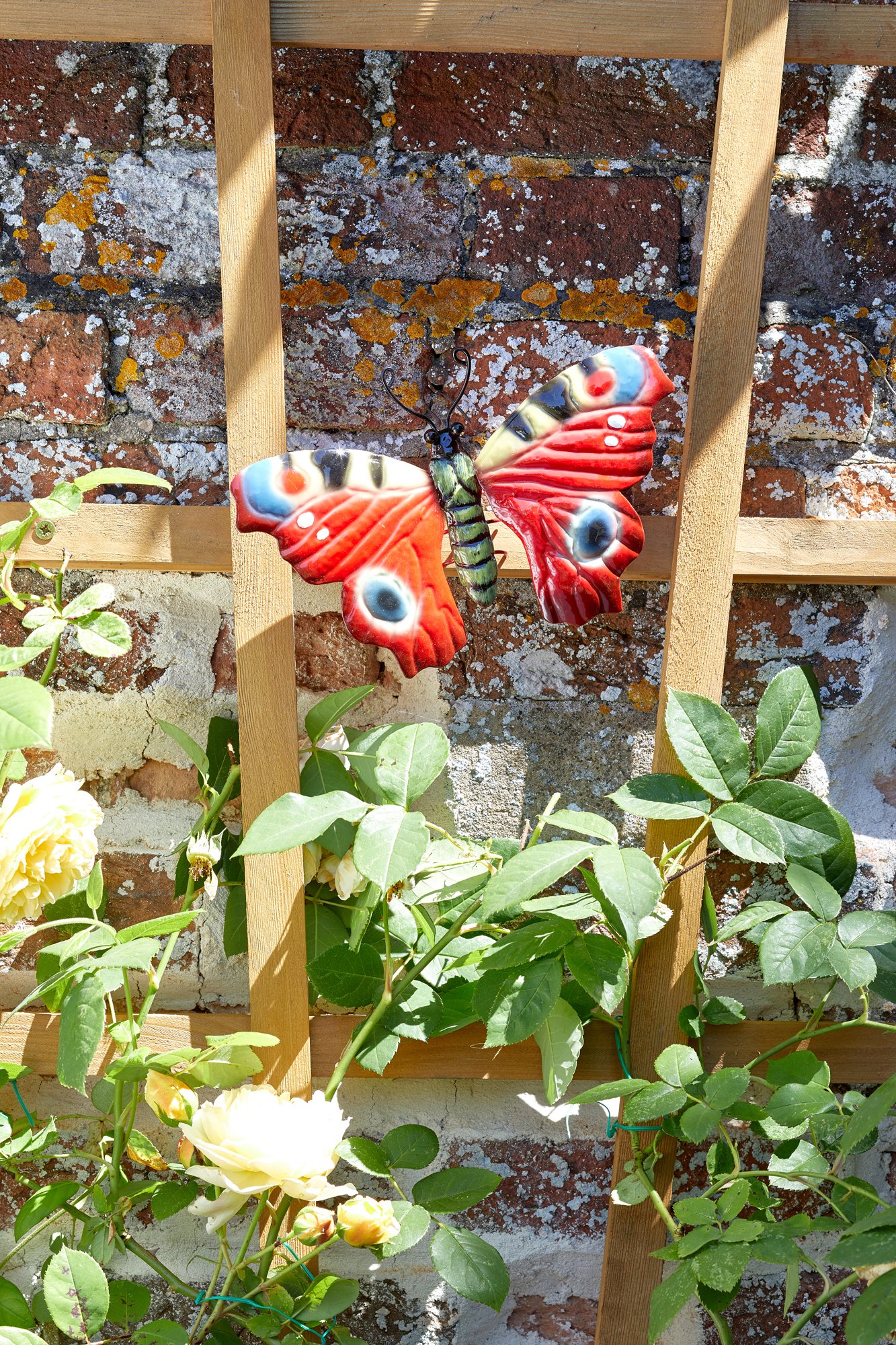 Large Butterfly - Willowbrook Nursery and Garden Centre