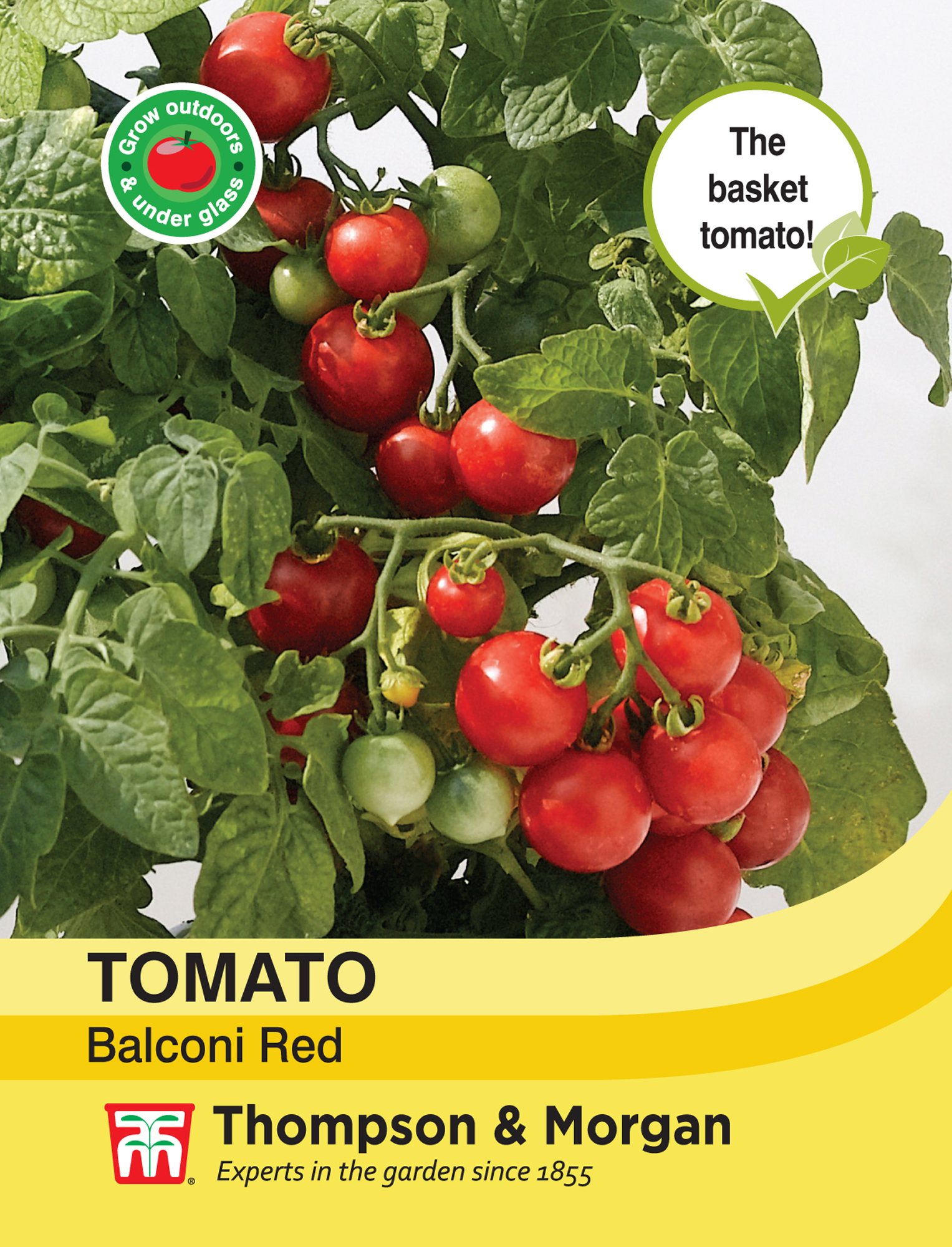 Thompson and Morgan Tomato Balconi Red - Willowbrook Nursery and Garden ...