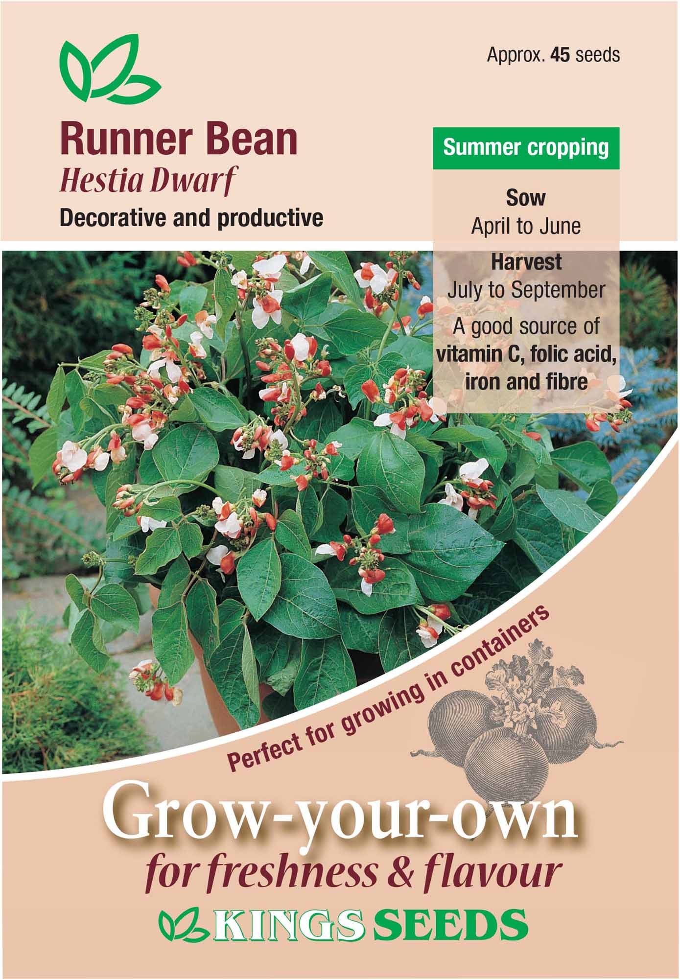 Kings Seeds Runner Bean Hestia Dwarf - Willowbrook Nursery and Garden ...
