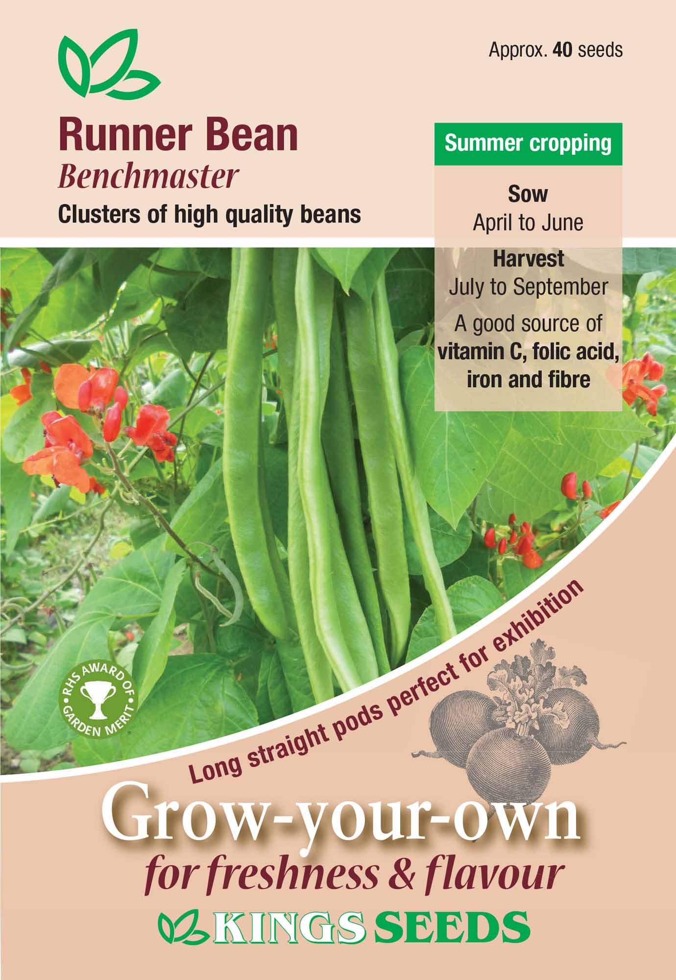 Kings Seeds Runner Bean Benchmaster - Willowbrook Nursery and Garden Centre
