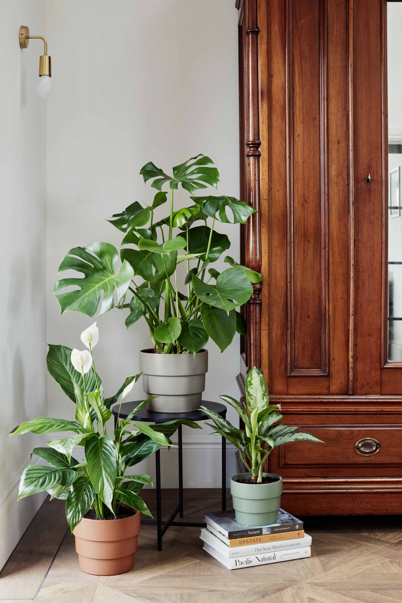 Ivyline Boston Tiered Planter Khaki H14cm D16.5cm - Willowbrook Nursery ...